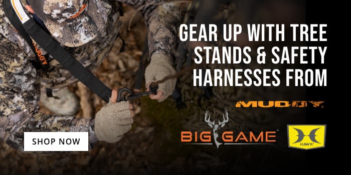 Tree Stands