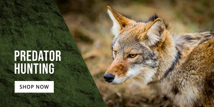 Predator Hunting