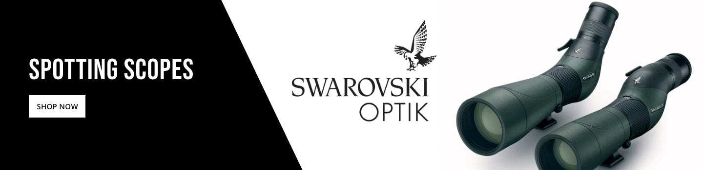 Swarovski