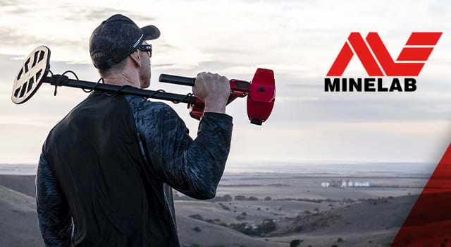 Foxpro Banner