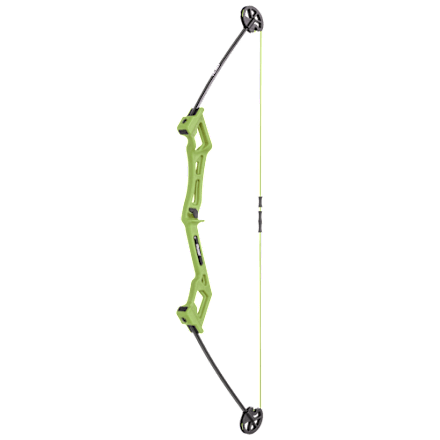 bear warrior compound bow