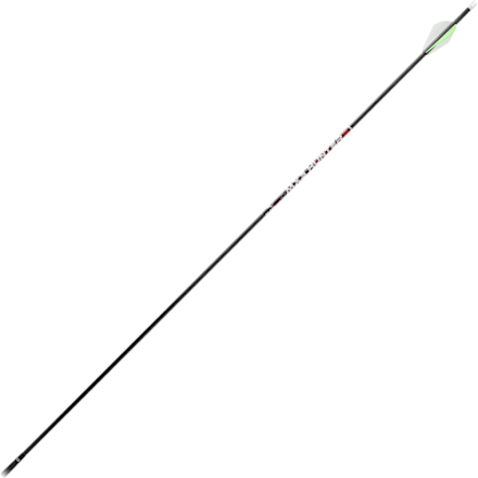 maxima hunter arrows