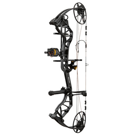 black bear compound bow