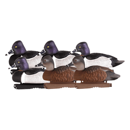 bufflehead decoy spread