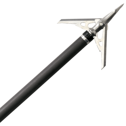 chisel jawed bighead