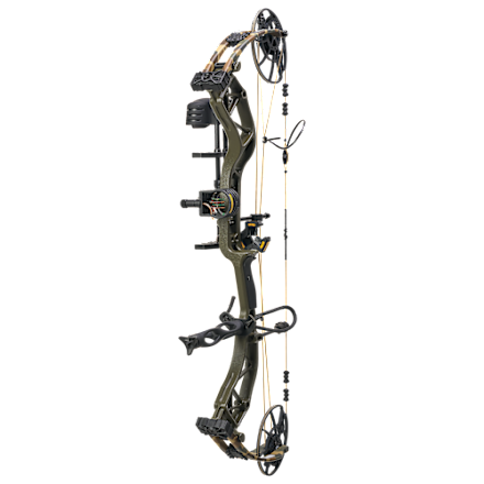 bear warrior compound bow