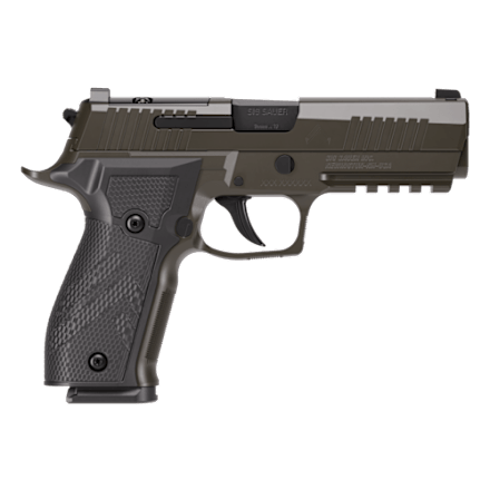 stinger p229 blowback